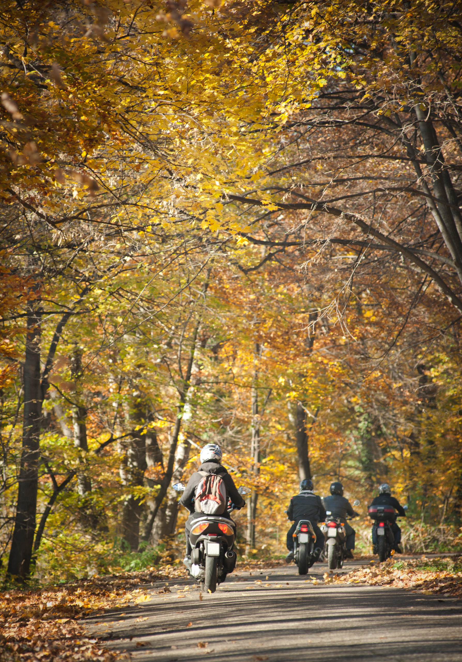 Six Tips For Your Autumn Motorbike Cruise This Year – Throttle Rocker